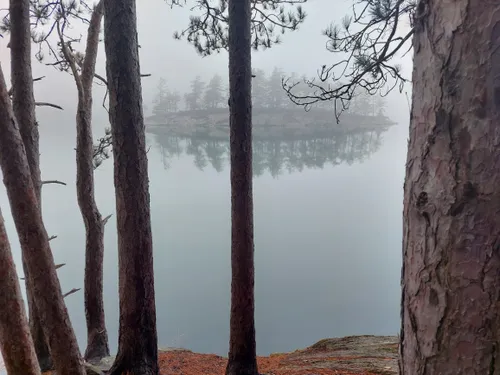 Best Hikes and Trails in Long Reach Preserve | AllTrails