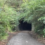 Fernleigh Track, New South Wales, Australia - 259 Reviews, Map | AllTrails