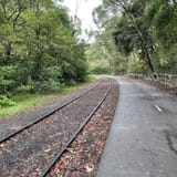 Fernleigh Track, New South Wales, Australia - 259 Reviews, Map | AllTrails