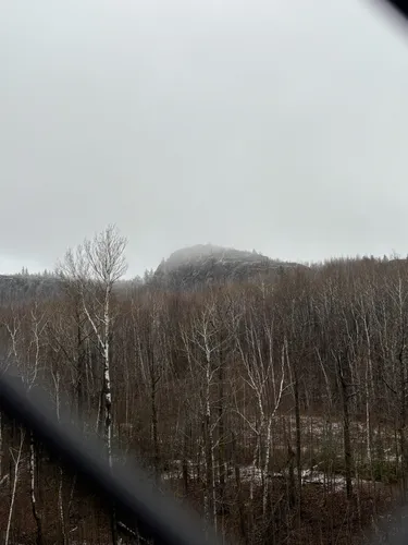 Best Hikes and Trails in Magney Snively Natural Area | AllTrails