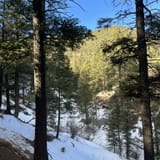 Silver Cascade Falls Trail, Colorado - 974 Reviews, Map | AllTrails