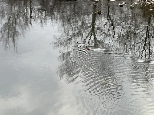 Best Hikes and Trails in Marott Park and Nature Preserve | AllTrails