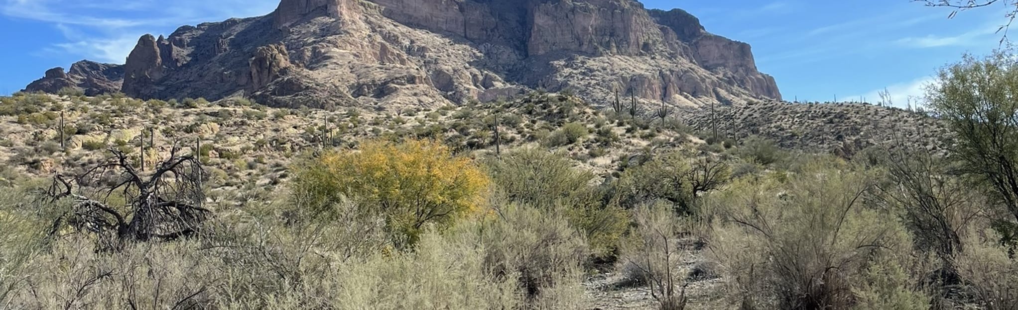 Alamo Canyon via Picket Post and Arizona Trail, Arizona - 308 Reviews ...