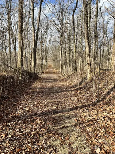 Best Wildlife Trails in Santa Claus | AllTrails