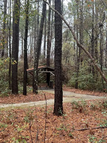 Best Hikes and Trails in Hubert By-Pass Park | AllTrails