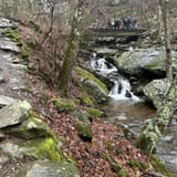 Rose River Trail, Virginia - 4,331 Reviews, Map | AllTrails