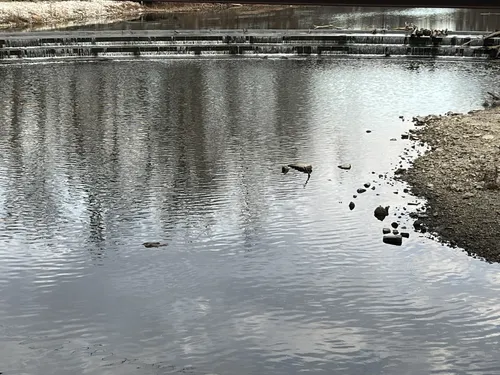 Best Hikes and Trails in Marott Park and Nature Preserve | AllTrails