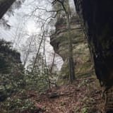 Koomer Ridge Trail, Kentucky - 630 Reviews, Map | AllTrails