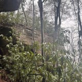 Koomer Ridge Trail, Kentucky - 630 Reviews, Map | AllTrails