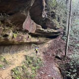 Koomer Ridge Trail, Kentucky - 630 Reviews, Map | AllTrails