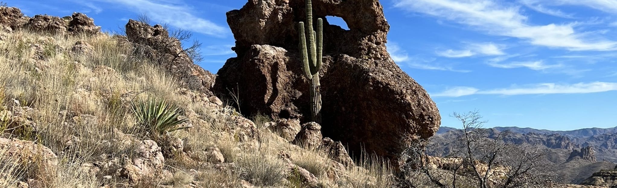 Weaver's Needle Scramble Loop, Arizona - 27 Reviews, Map | AllTrails