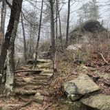 Table Rock Trail, South Carolina - 3,869 Reviews, Map | AllTrails