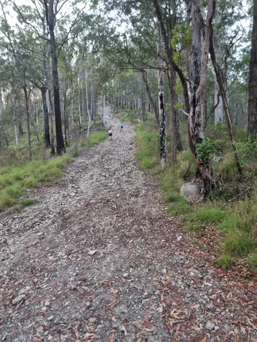 Best Views Trails in Broken Bago State Forest | AllTrails