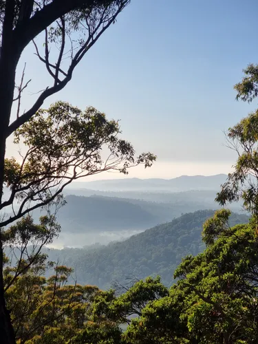 Best Views Trails in Broken Bago State Forest | AllTrails