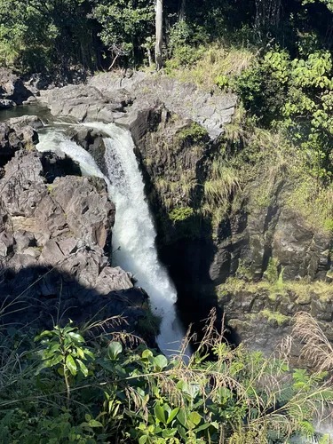 Best Waterfall Trails in Hilo | AllTrails