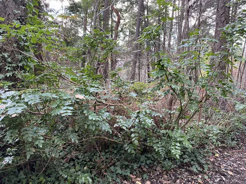 Best Hikes and Trails in Cuthbert Holmes Park | AllTrails