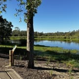 Archerfield Wetlands Discovery Trail, Queensland, Australia - 56 ...