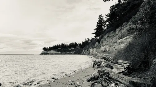 Best Hikes and Trails in Double Bluff Park | AllTrails