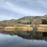 Oak Glen Preserve Trails, California - 792 Reviews, Map | AllTrails