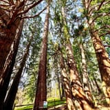 Oak Glen Preserve Trails, California - 655 Reviews, Map | AllTrails