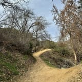 Oak Glen Preserve Trails, California - 792 Reviews, Map | AllTrails