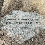 Oak Glen Preserve Trails, California - 677 Reviews, Map | AllTrails