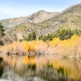 Oak Glen Preserve Trails, California - 792 Reviews, Map | AllTrails