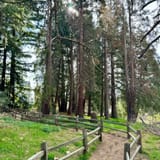 Oak Glen Preserve Trails, California - 792 Reviews, Map | AllTrails