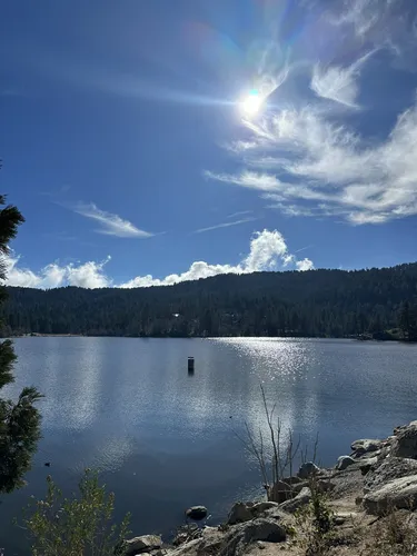 Best Hikes and Trails in Lake Gregory Regional Park | AllTrails