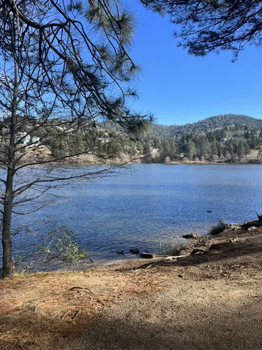 Best Hikes and Trails in Lake Gregory Regional Park | AllTrails