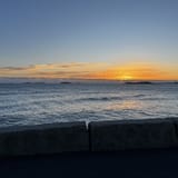 Deer Island Trail, Massachusetts - 648 Reviews, Map | AllTrails