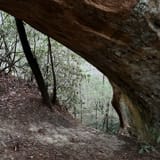 Indian Staircase Trail, Kentucky - 1,520 Reviews, Map | AllTrails