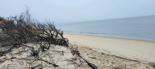 Best Hikes and Trails in Higbee Beach Wildlife Management Area | AllTrails
