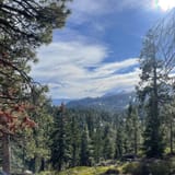 Castle Rock Loop Trail, Nevada - 1,876 Reviews, Map | AllTrails