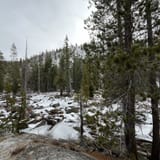 Indian Pools Trail, California - 764 Reviews, Map | AllTrails