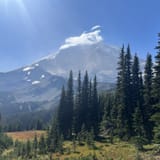 Mount Rainier Northern Loop Trail, Washington - 154 Reviews, Map ...