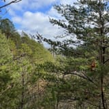 Koomer Ridge Trail, Kentucky - 635 Reviews, Map | AllTrails