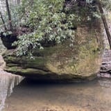 Koomer Ridge Trail, Kentucky - 559 Reviews, Map | AllTrails
