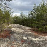 Koomer Ridge Trail, Kentucky - 635 Reviews, Map | AllTrails