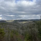 Koomer Ridge Trail, Kentucky - 635 Reviews, Map | AllTrails