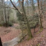 Koomer Ridge Trail, Kentucky - 635 Reviews, Map | AllTrails