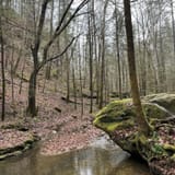 Koomer Ridge Trail, Kentucky - 563 Reviews, Map | AllTrails