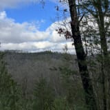 Koomer Ridge Trail, Kentucky - 635 Reviews, Map | AllTrails