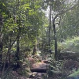 Drawing Room Rocks, New South Wales, Australia - 361 Reviews, Map ...