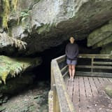 Junee Cave Track, Tasmania, Australia - 98 Reviews, Map | AllTrails