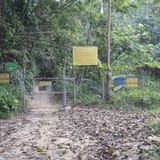 Kemensah Waterfalls Loop, Selangor, Malaysia - 52 Reviews, Map | AllTrails