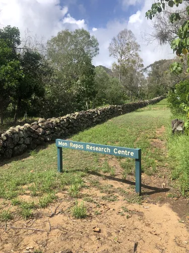 Best Hikes and Trails in Mon Repos Conservation Park | AllTrails