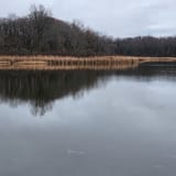 Sippo Lake Trail, Ohio - 720 Reviews, Map | AllTrails