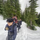 Excelsior Pass Trail, Washington - 597 Reviews, Map | AllTrails