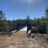 Lost Pines Trail, Texas - 651 Reviews, Map | AllTrails